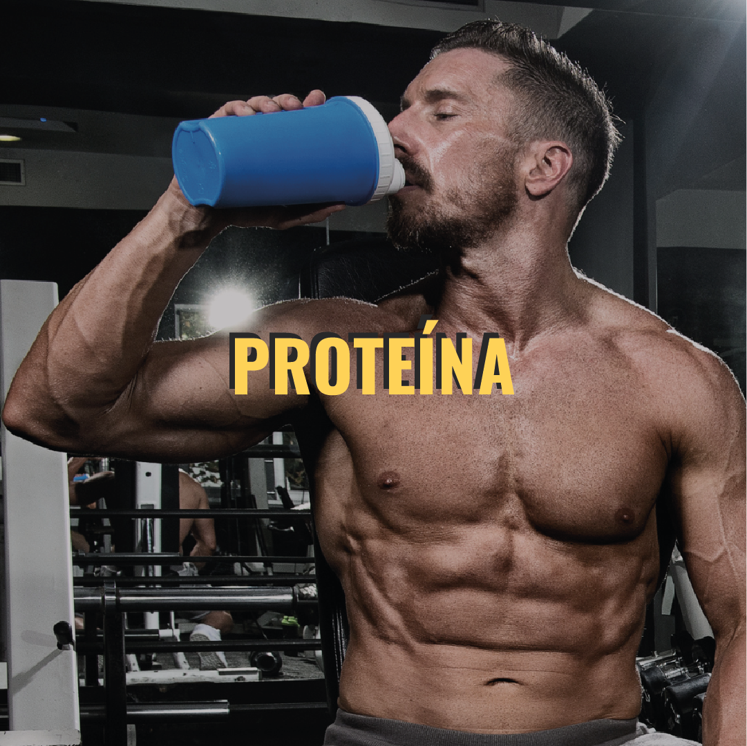 Suplementos vikingo SV